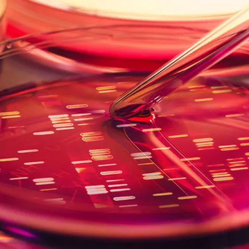 Aspis – Project cluster for Implementation of novel Strategies