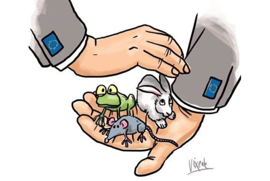 Aspis – Project cluster for Implementation of novel Strategies